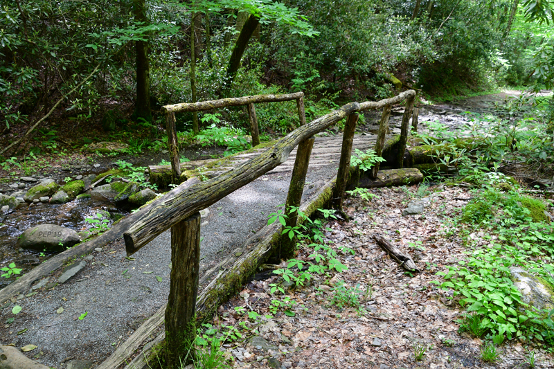 Middle Prong Trail - 2048.studio