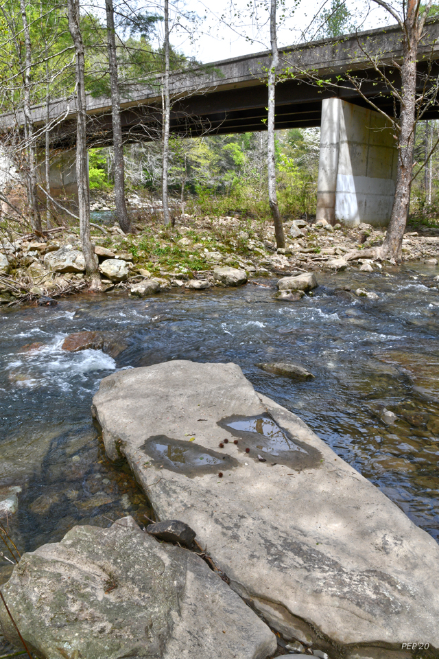 Lily Bridge At Obed – 2048 Studio
