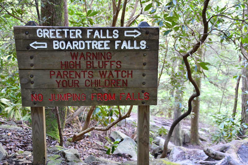 Lower Greeter Falls – 2048.studio