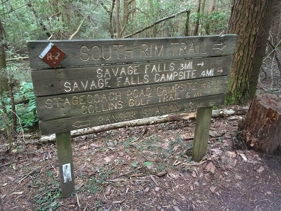 Savage Falls – 2048 Studio