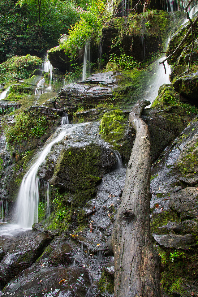 Catawba Falls – 2048 Studio