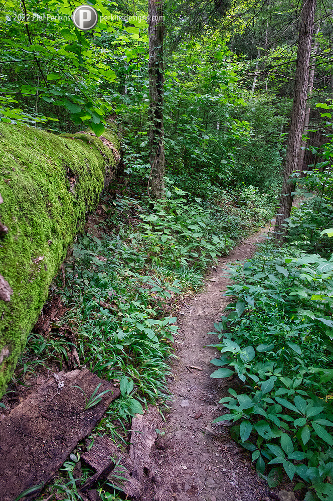 Point Trail At Obed – 2048.studio